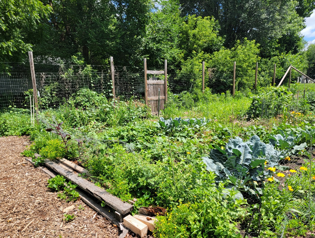 Demmler Community Garden – THIRD WARD NEIGHBORHOOD ASSOCIATION, INC